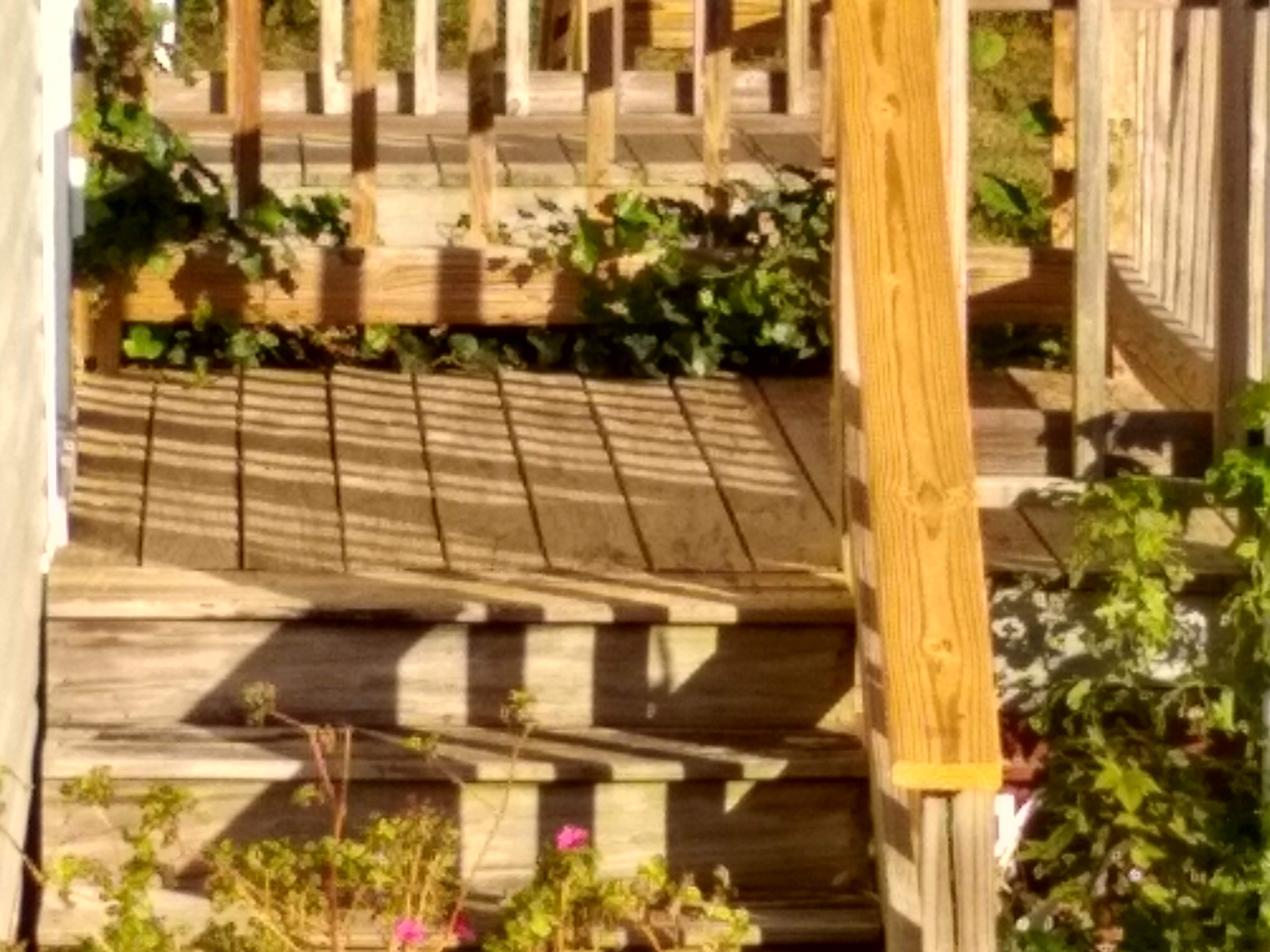 Gary Wright II v. Dempsey Isom, et al